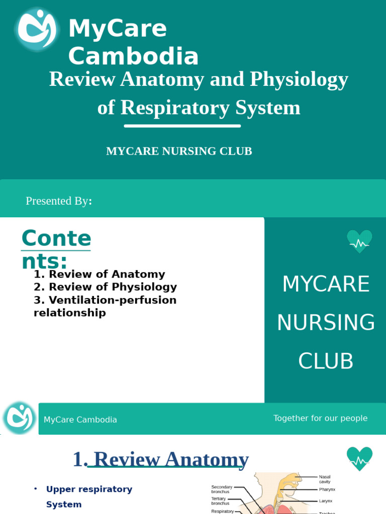 Review Anatomy of Respiratory System | PDF | Respiratory System ...