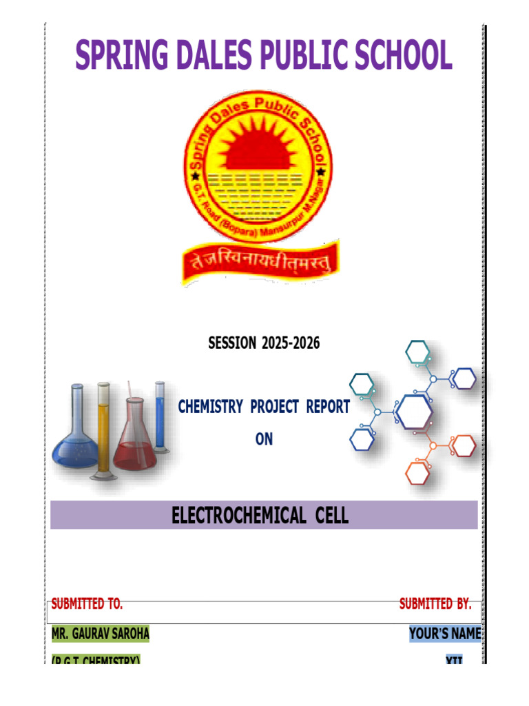 Project File On Electrochemical Cell | PDF | Electrochemistry | Anode
