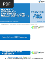 Satusehat SDMK | PDF