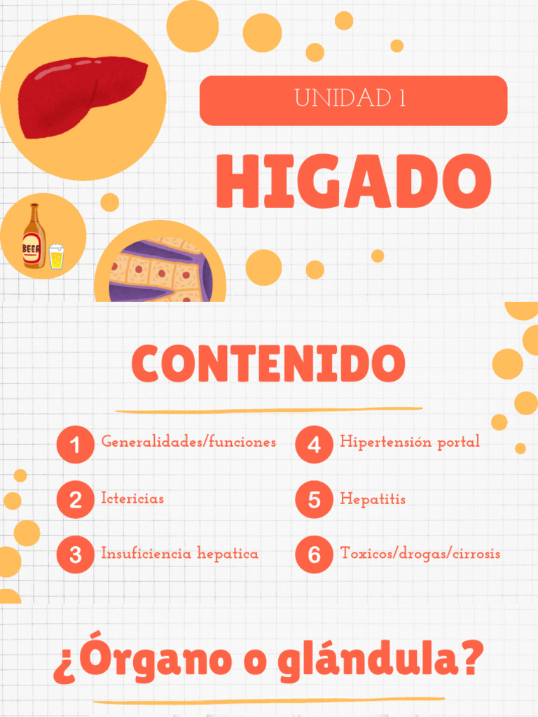 Funciones y patologías del hígado | PDF | Hepatitis | Hígado