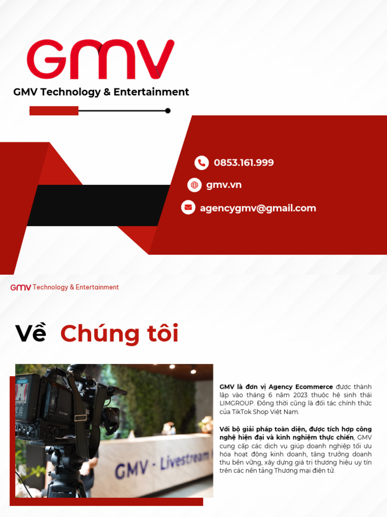 GMV Brand Profile | PDF