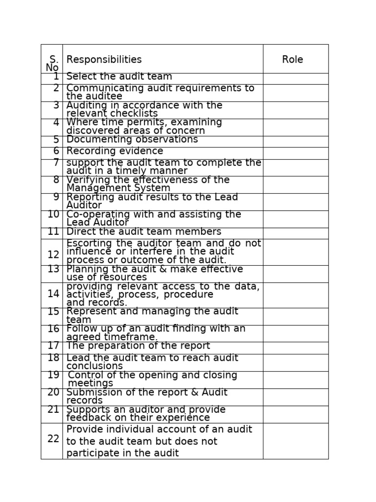 Audit Team Responsibilities Overview | PDF