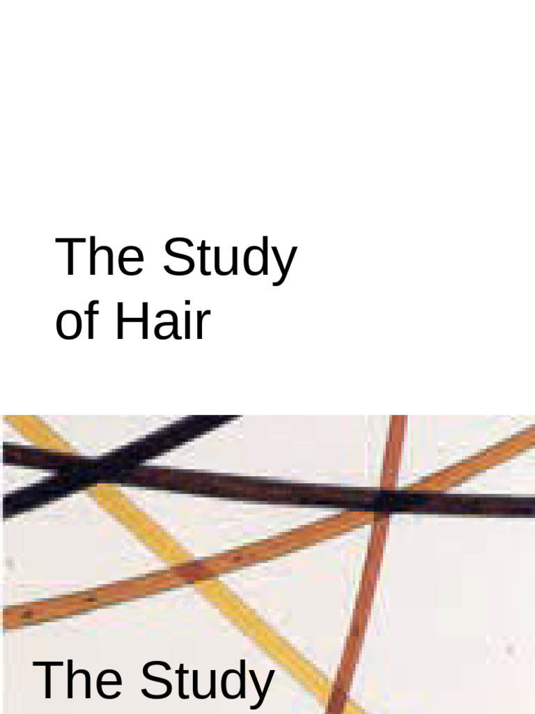 Anatomy and Forensics of Hair | PDF | Hair | Human Hair
