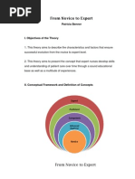 Benner Theory Novice To Expert | PDF | Expert | Nursing