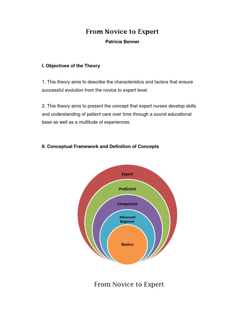 Benner | PDF | Expert | Reflective Practice