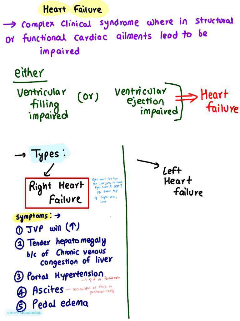 Heart Failure Medicine 2 | PDF | Heart | Heart Failure