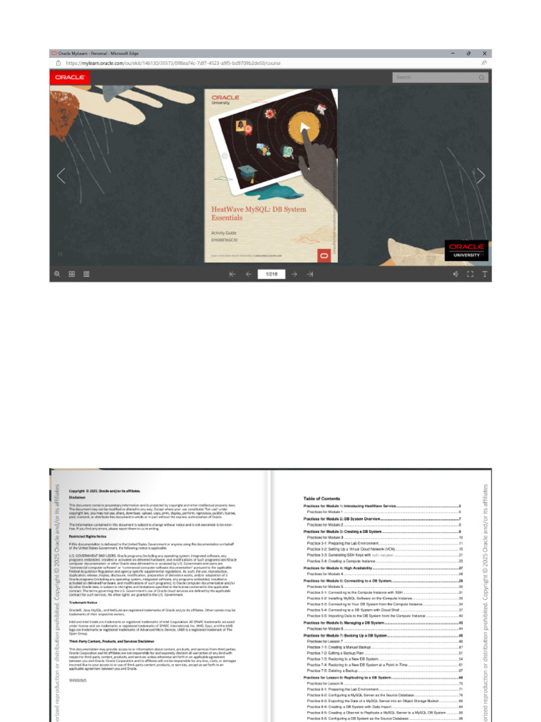 2025 - Mysql - Heatwave - Ag | PDF