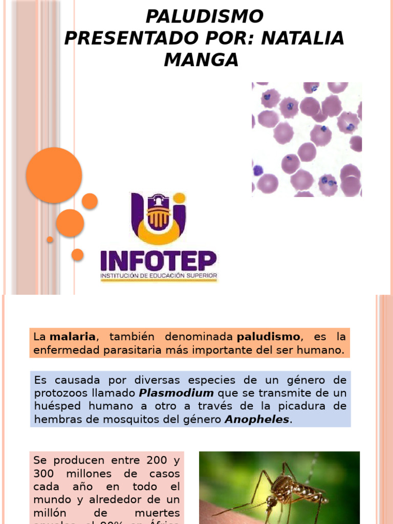 Malaria o Paludismo | PDF | Plasmodium | Malaria