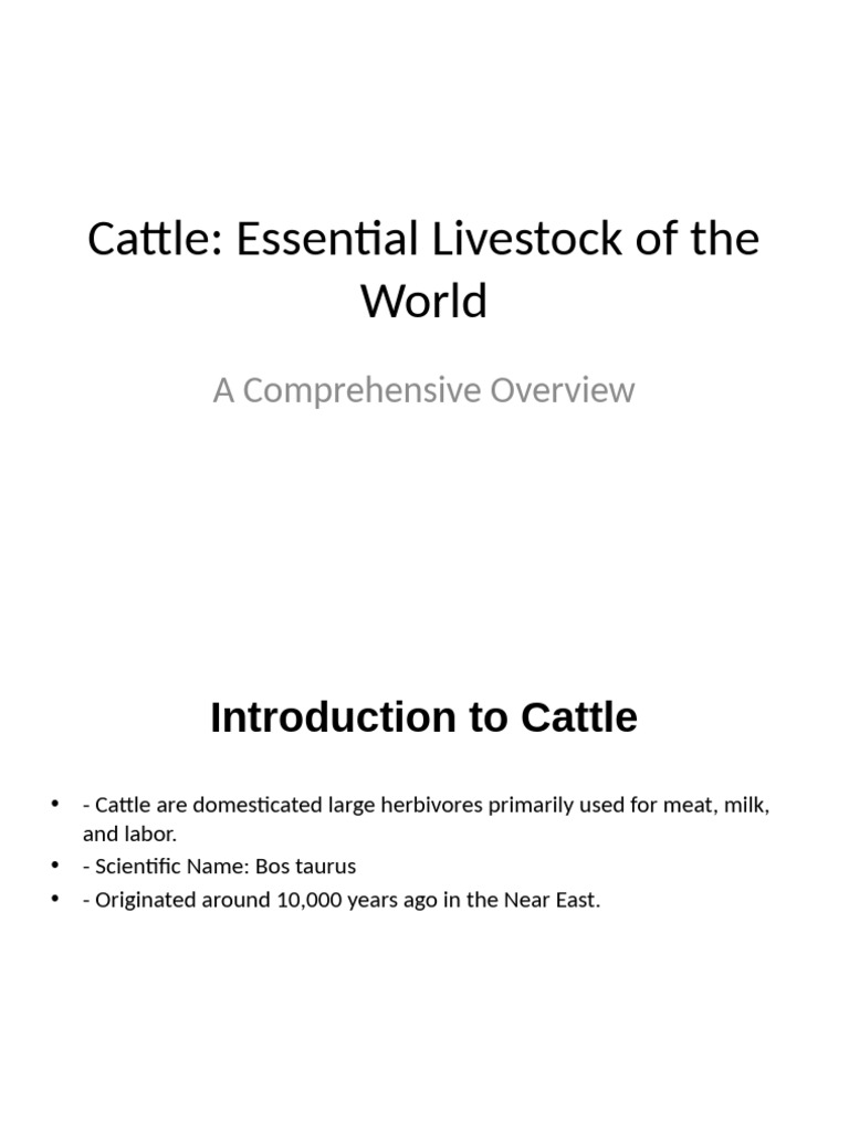 Enhanced Cattle Presentation No Images | PDF | Cattle | Dairy Cattle