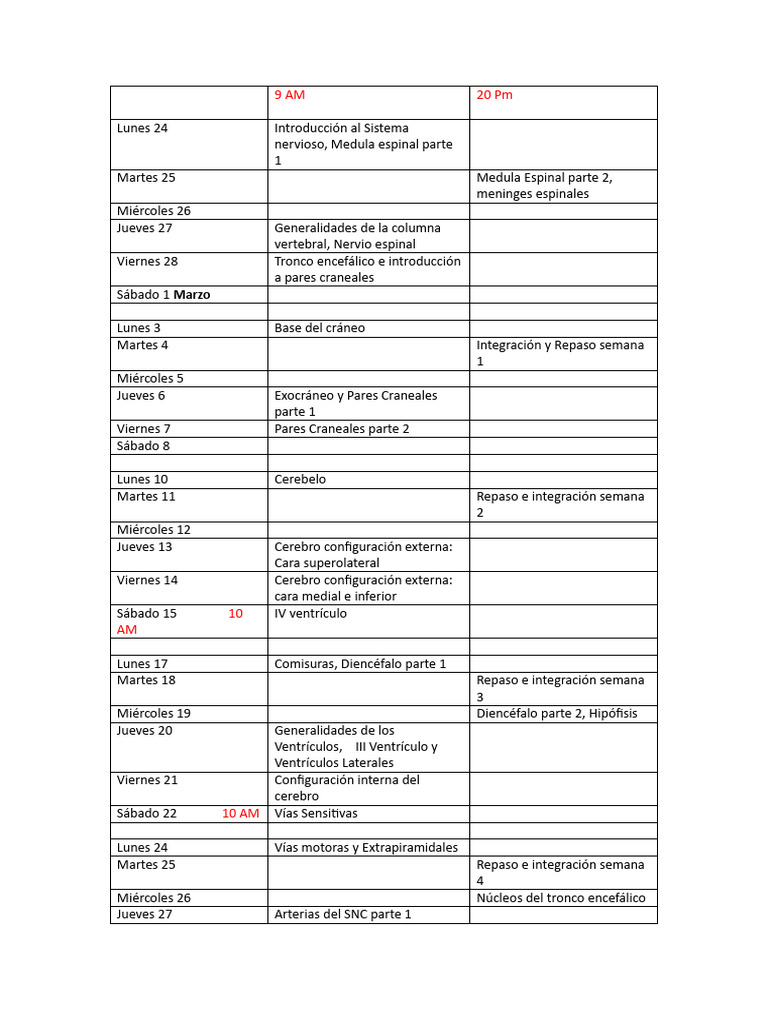 Crono Neuroanatomia 2025 | PDF
