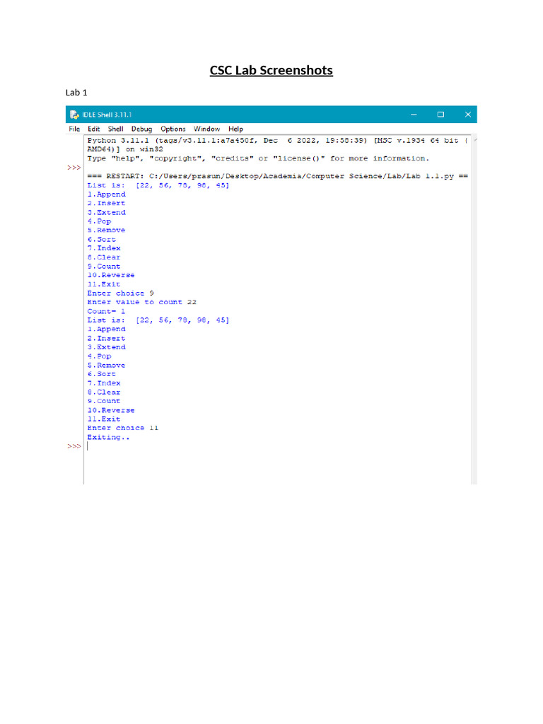 CSC Lab Screenshots | PDF