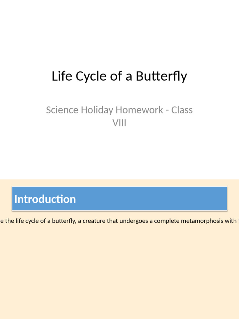 Colorful Butterfly Life Cycle Presentation | PDF