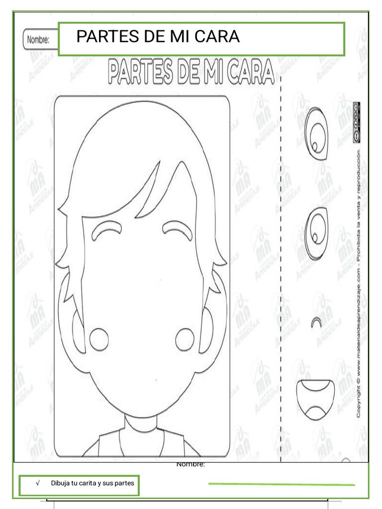 Partes de La Cara | PDF