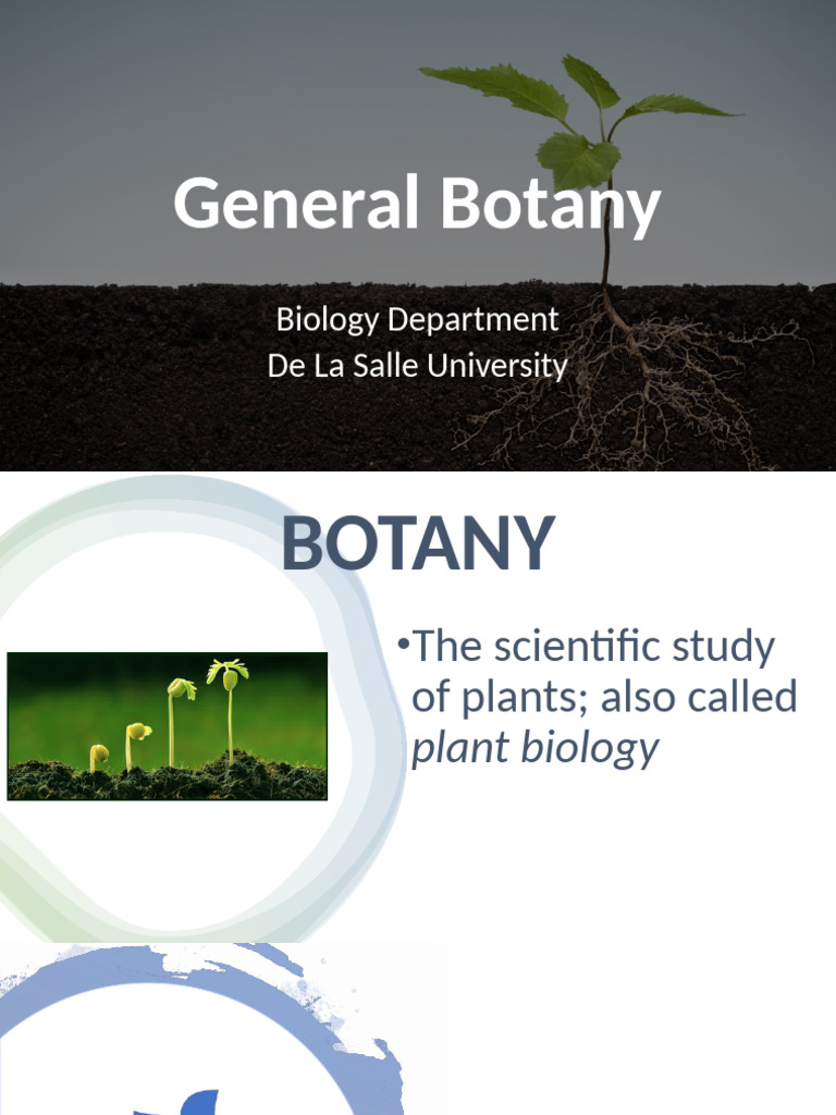 OL GenBio1 Lecture 01 Introduction To Botany | PDF | Plants | Botany
