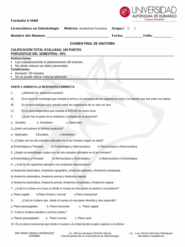 Examen Final de Anatomia | PDF | Tórax | Abdomen