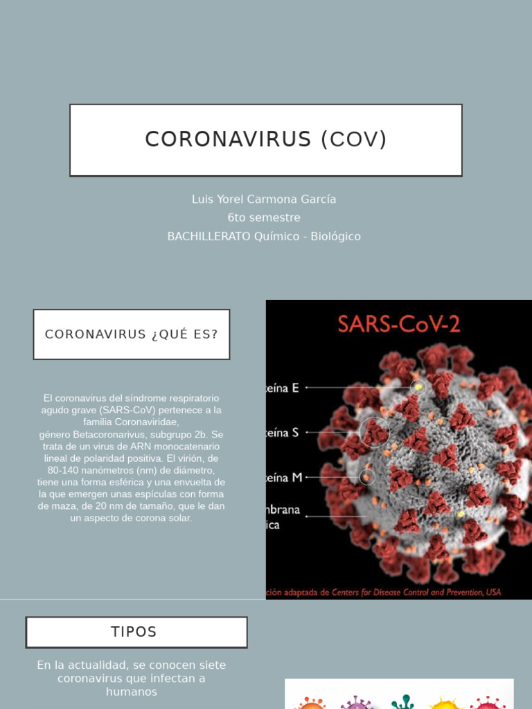 Coronavirus (CoV) | PDF | Enfermedades y trastornos | Enfermedades y trastornos humanos
