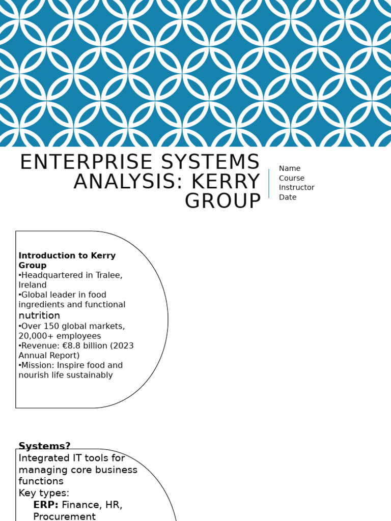 Enterprise Systems Analysis - Kerry Group | PDF | Enterprise Resource ...