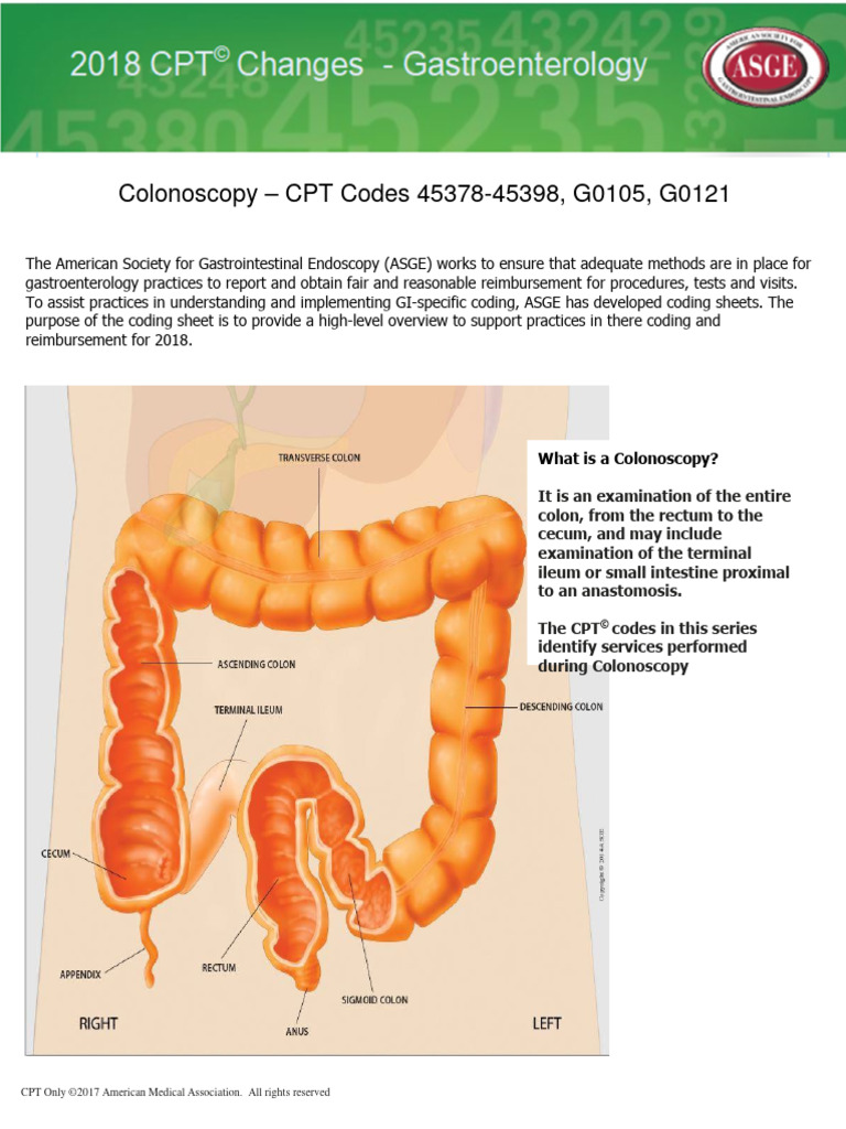 Colonoscopy 2018 Coding Sheet | PDF | Colonoscopy | Large Intestine