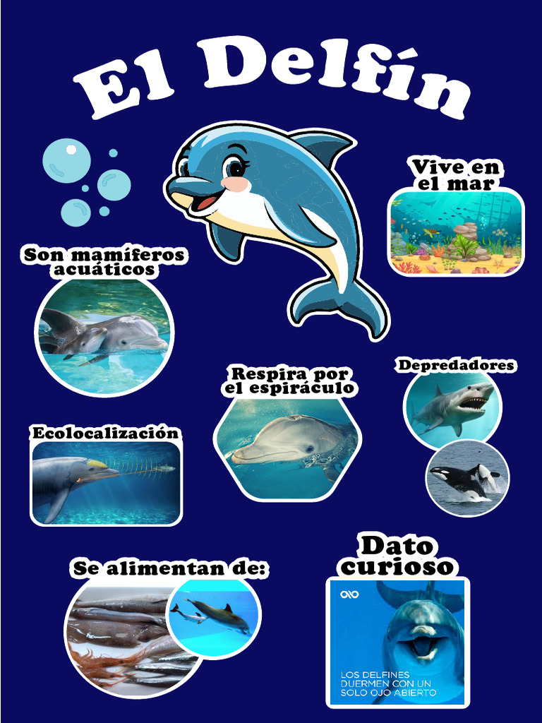 Presentacion El Delfin Preescolar | PDF