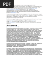 Akt - Nümunə | PDF