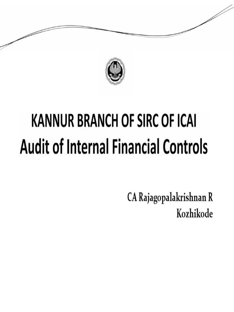 Audit of Internal Financial Controls Over Financial Reporting | PDF ...