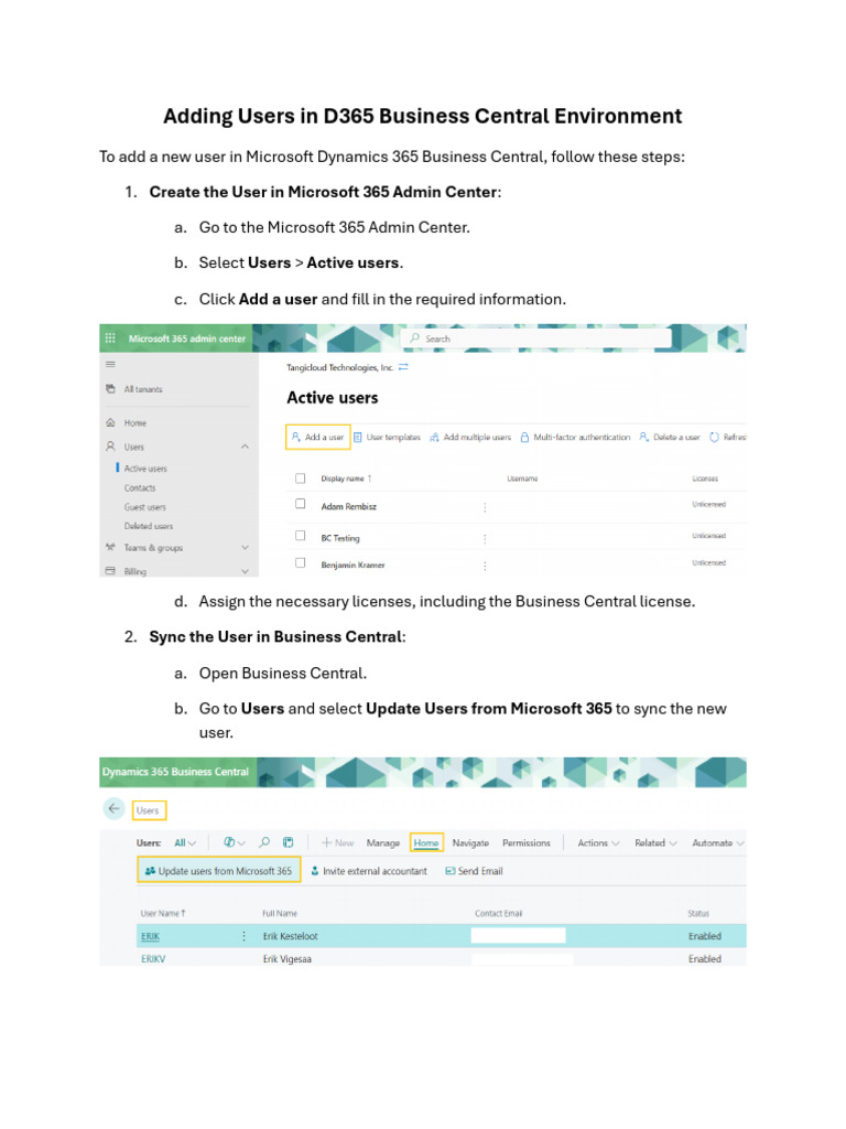 Adding Users in D365 Business Central | PDF