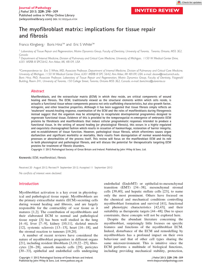 The Journal of Pathology - 2012 - Klingberg - The Myofibroblast Matrix ...