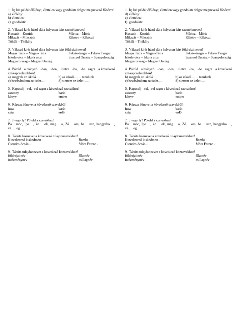 A Főnév, Dolgozat | PDF