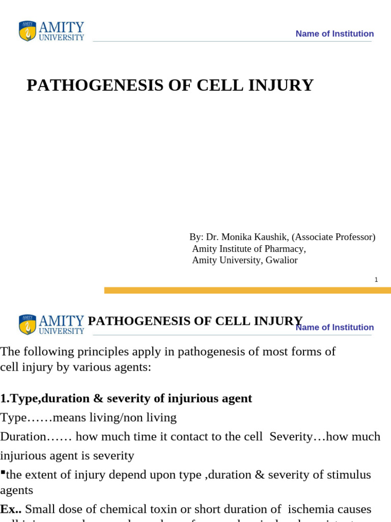 Pathogenesis of Cell Injury-1 | PDF | Mitochondrion | Endoplasmic Reticulum