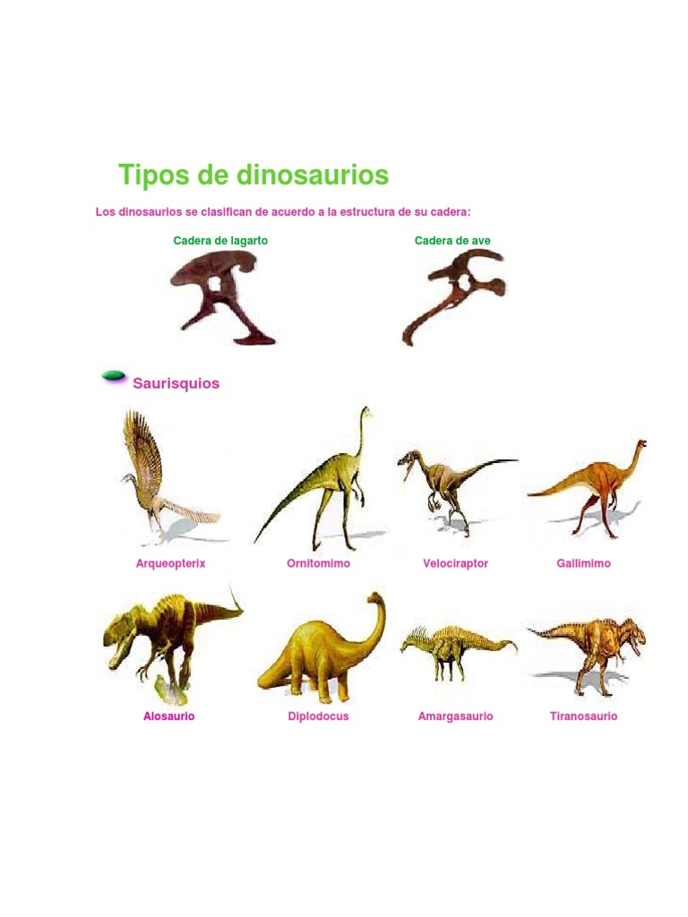 Tipos de Dinosaurios | PDF