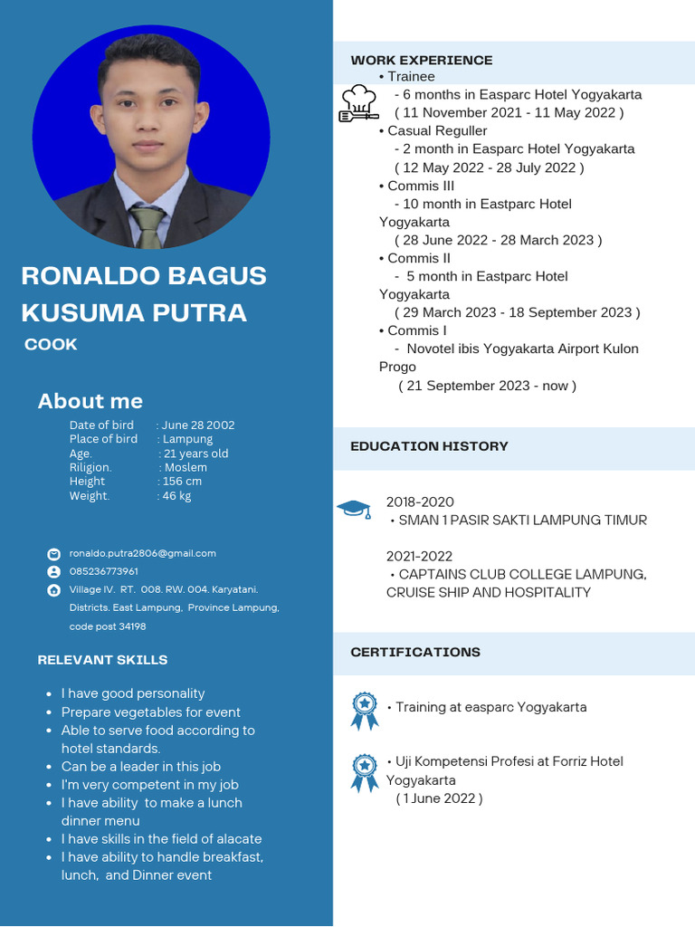 Blue Light Blue Color Blocks Flight Attendant CV | PDF | Eating ...