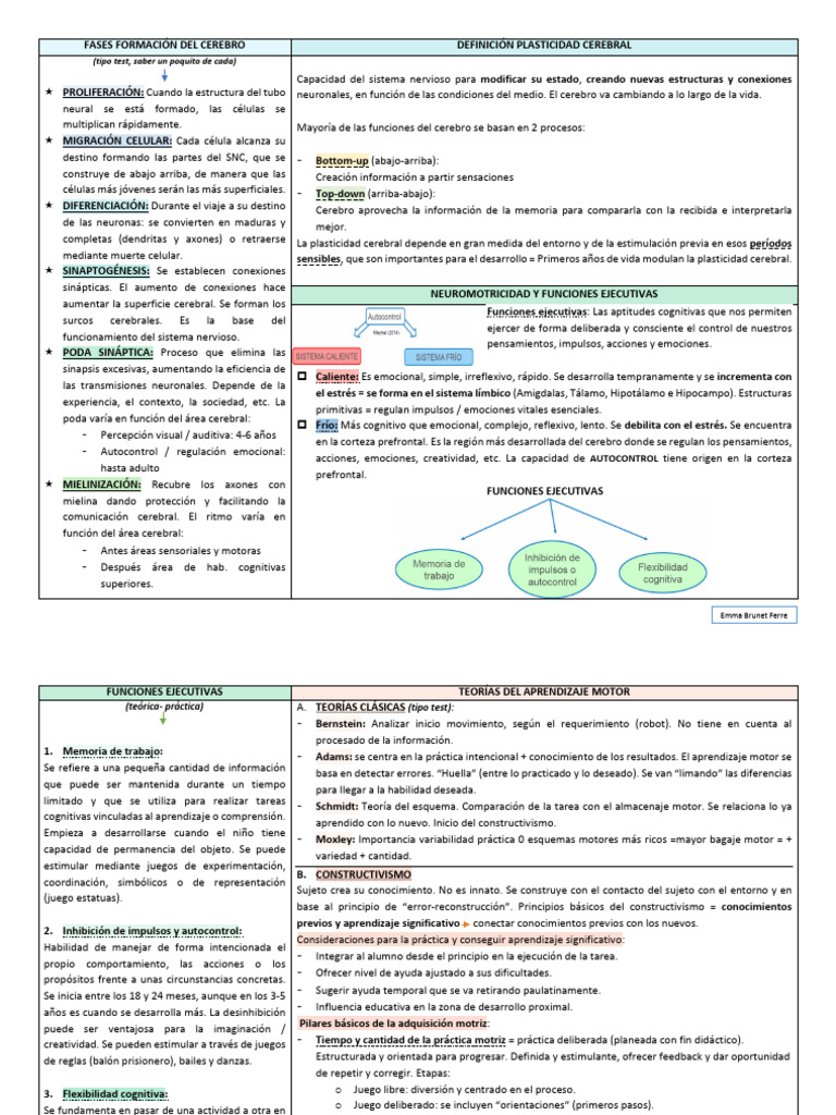 Resumen Global Did. EF Según Raúl. Emma Brunet | PDF | Cerebro | Neurona