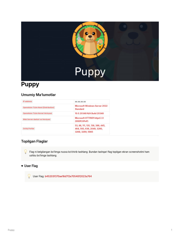 Writeup Anonymous Puppy | PDF | Internet Protocols | Application Layer Protocols