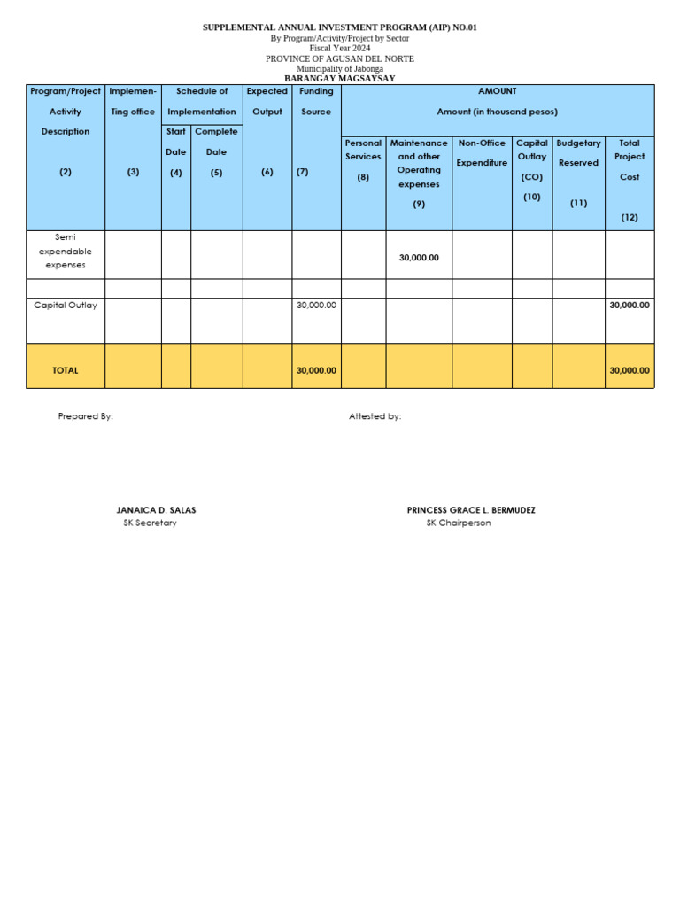 Supplemental Annual Investment Program | PDF