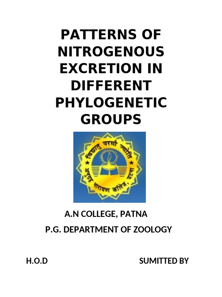 Patterns of Nitrogenous Excretion in Different Phylogenetic Groups ...