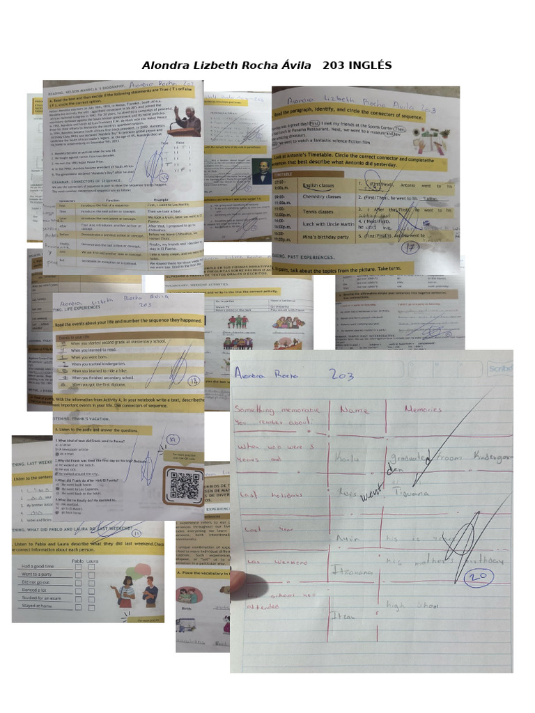 Alondra Rocha 203 Ingles | PDF