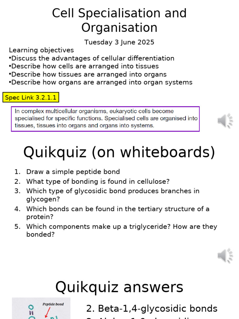 Lesson 5 - Cell Specialisation and Organisation Annotated | PDF ...