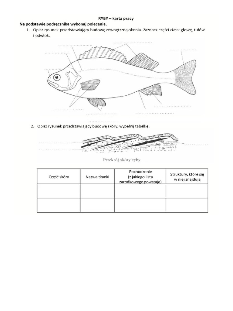 Karta Pracy - RYBY - Kopia | PDF