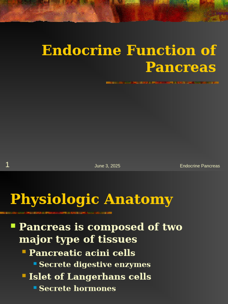 Endocrine Pancreas | PDF | Pancreas | Insulin