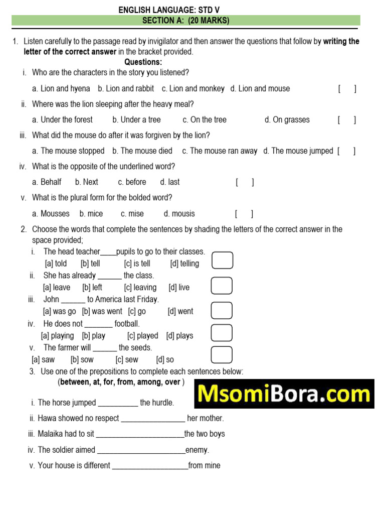 Std V English Exam Paper 2025 | PDF | Light | Clothing