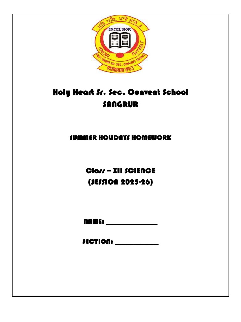 Holy Heart Sr. Sec. Convent School Sangrur: Summer Holidays Homework | PDF