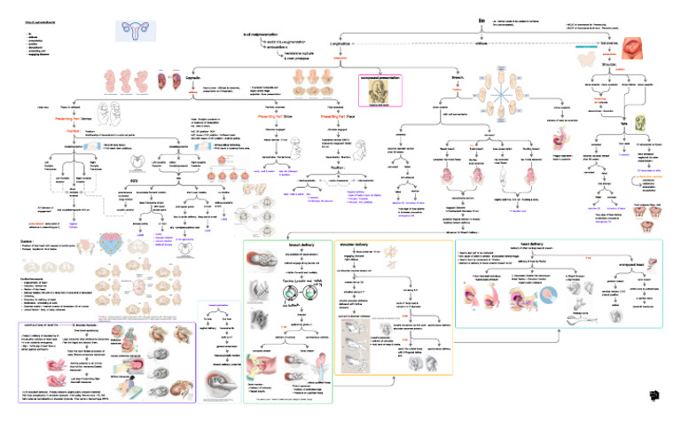 Normal & Abnormal Fetal Presentations | PDF | Childbirth | Motherhood