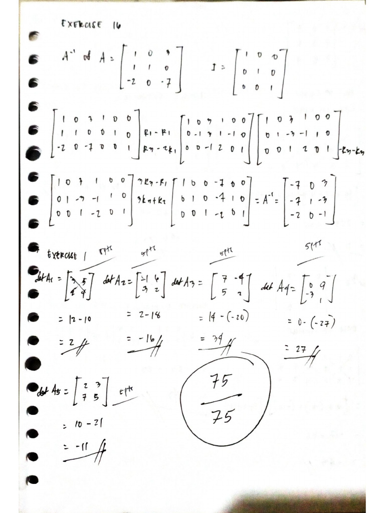 Exercise 1 - Rule of Sarrus and Laplace Expansion | PDF