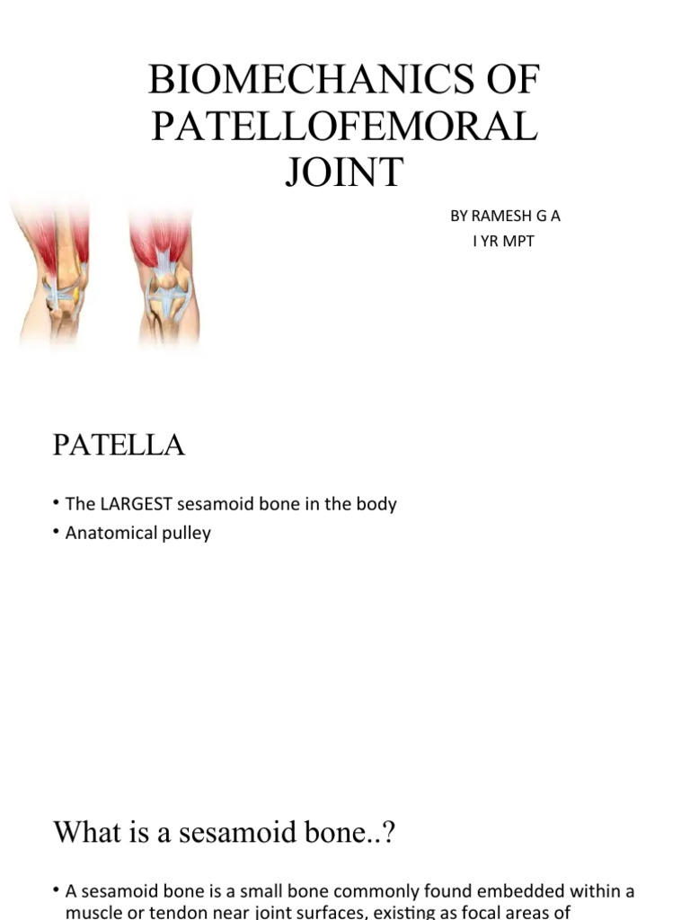Biomechanics of Patellofemoral Joint: by Ramesh G A Iyrmpt | PDF | Knee ...