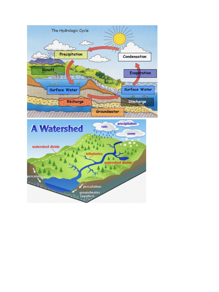 Water Cycle | PDF