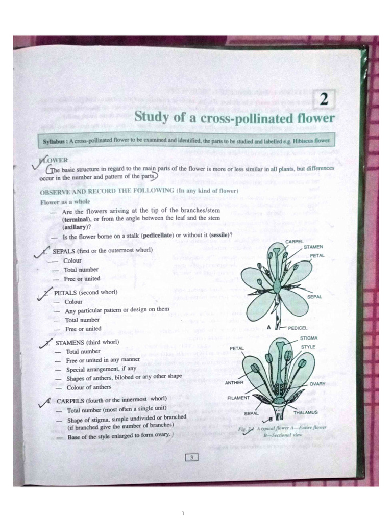 Biology Practical Work | PDF