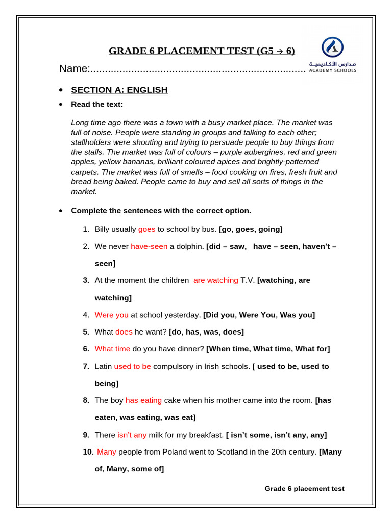 Grade 6 Placement Test Overview | PDF