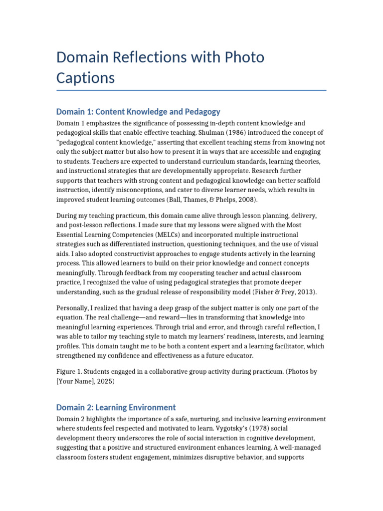 Complete Domain Reflections With Captions | PDF | Learning | Pedagogy