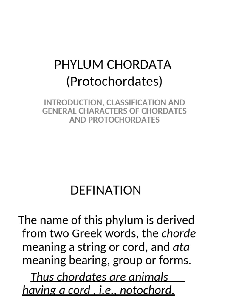 Chordata and Protochordata Overview | PDF | Gill | Chordates