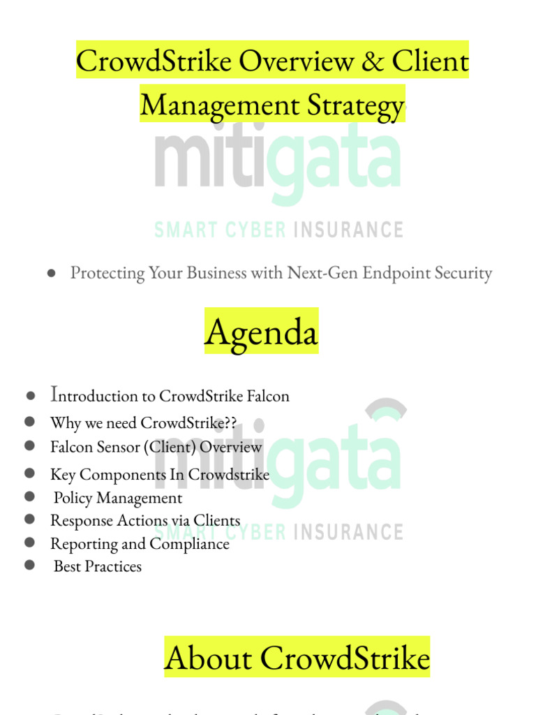 CrowdStrike Falcon Client Management Overview | PDF
